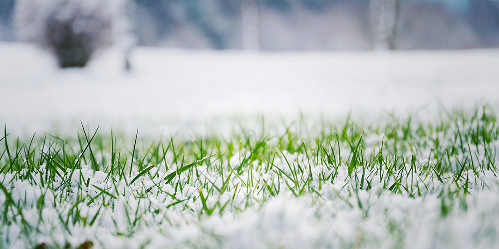 Winter Turf Maintenance Tips - Kenney Machinery